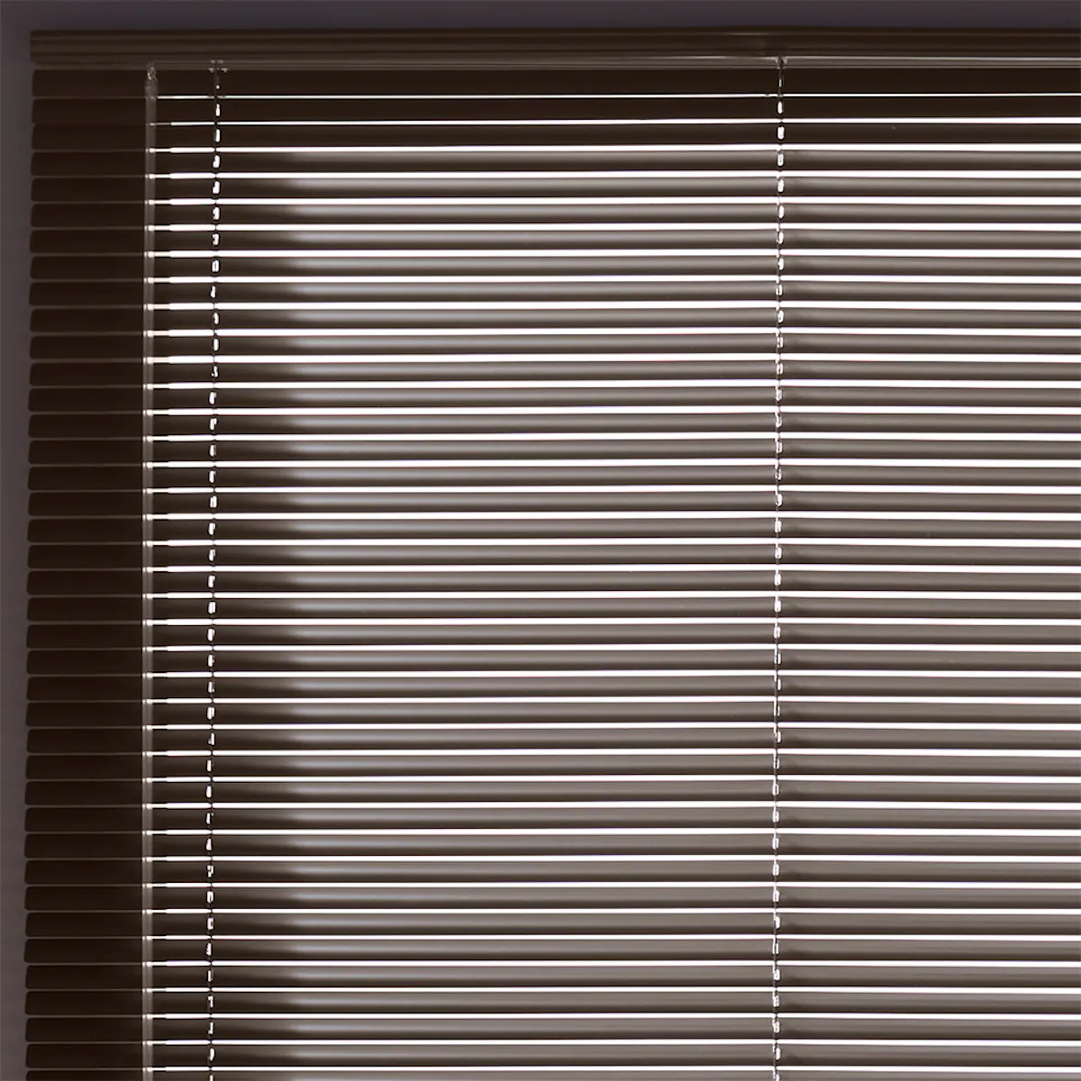 Custom Window Coverings | Blinds, Shades, and Shutters | Blinds.com