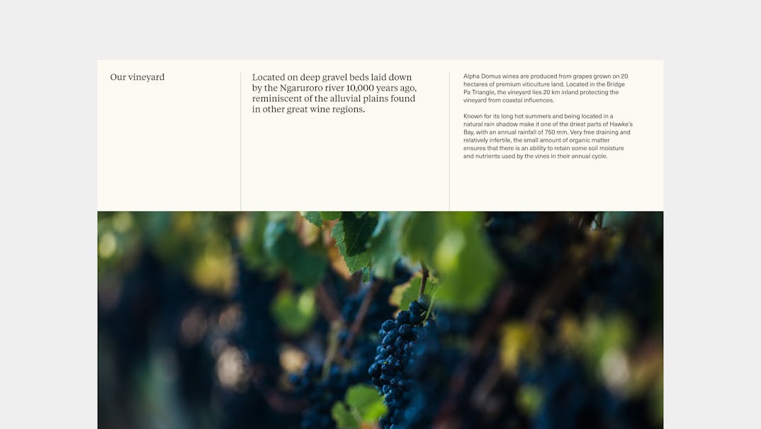 General Studios | Alpha Domus