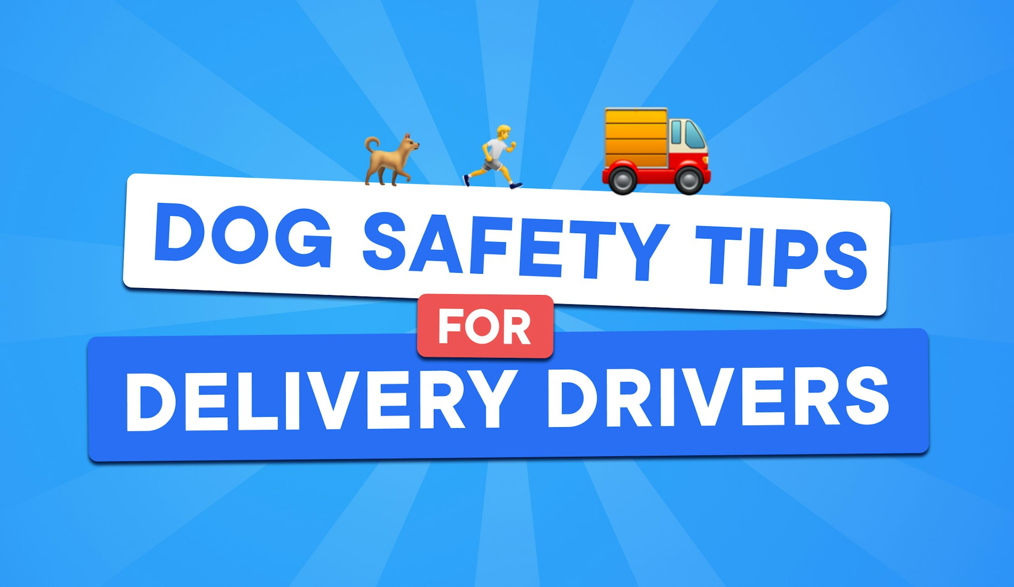 A Delivery Driver’s Guide to Dog Attacks