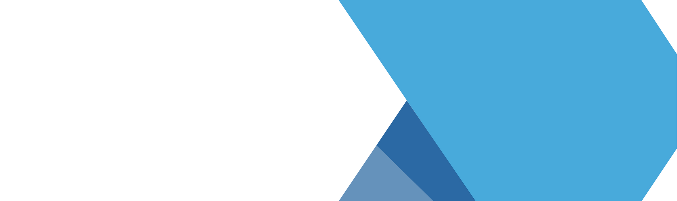 Leadership Academy Application