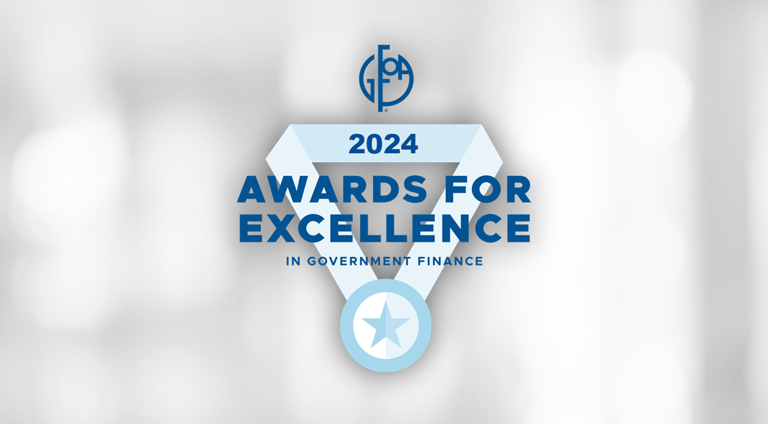 2024 Awards for Excellence Winners