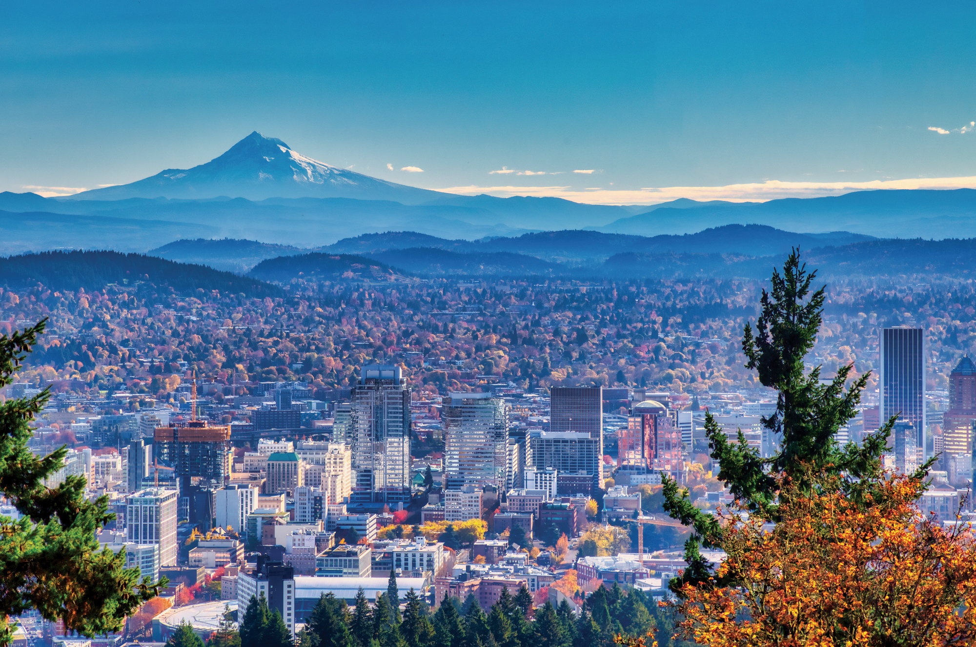 Metro, Oregon: Creating a Collaborative Culture of Curious People Who…