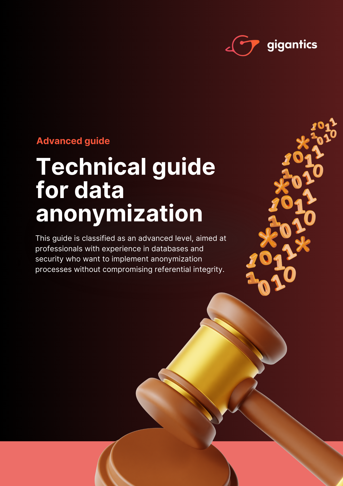 Technical guide for data anonymization