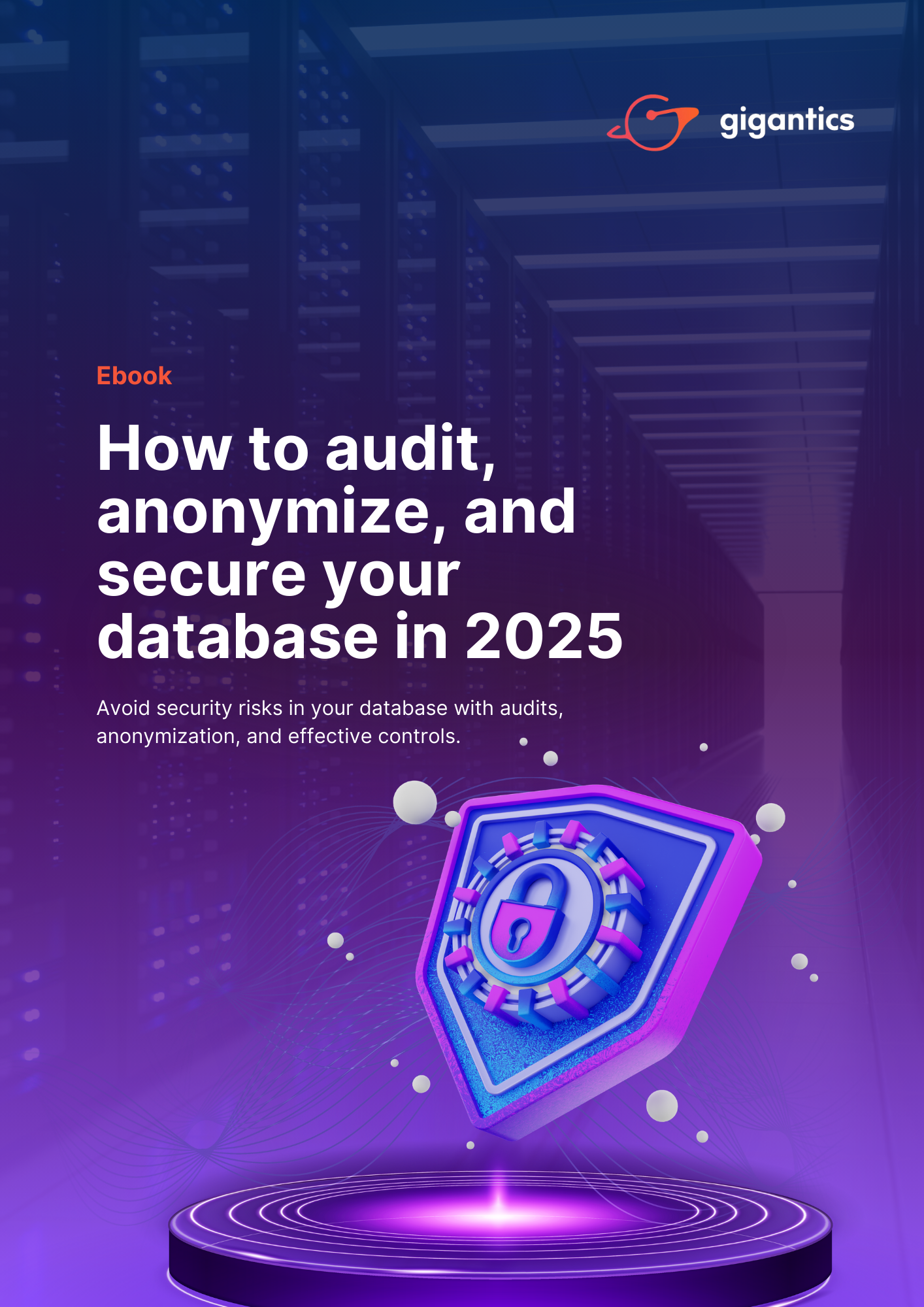 Auditing, Anonymizing & Protecting Your Database