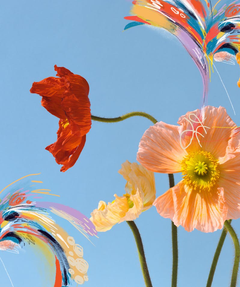 Glasfurd & Walker — Rowe