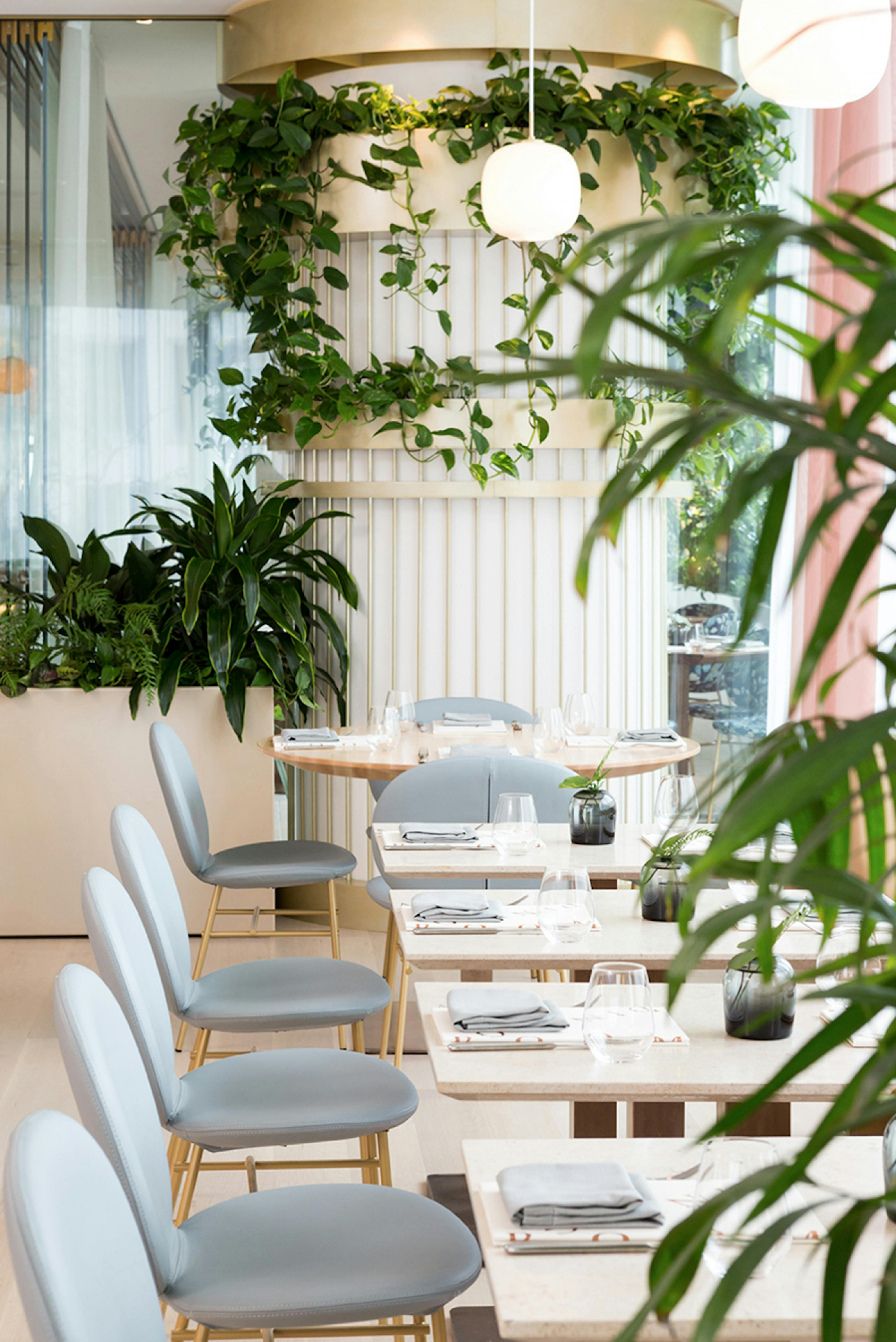 Glasfurd & Walker — Botanist Restaurant