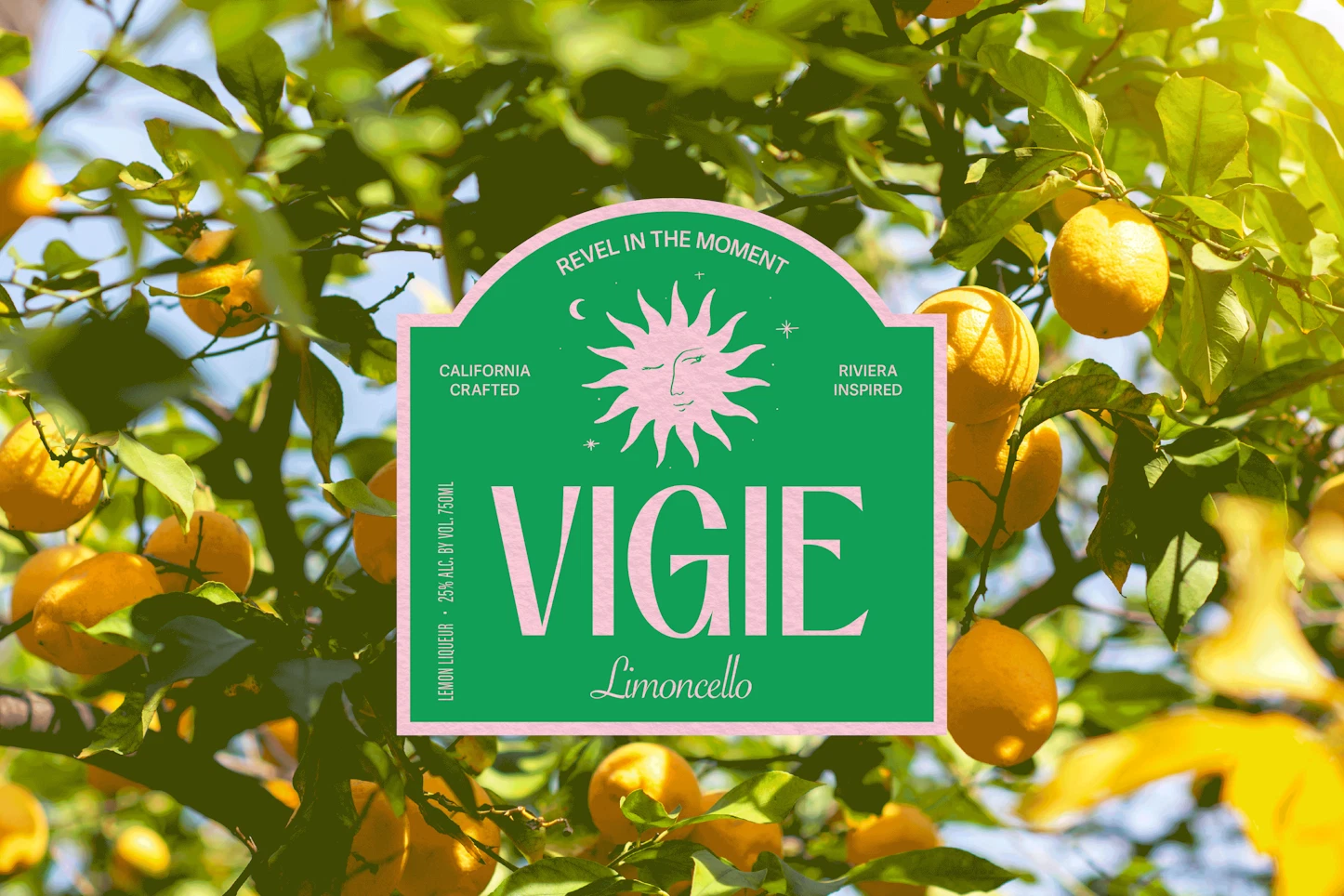 Glasfurd & Walker — Vigie