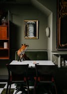 Glasfurd & Walker — Contact