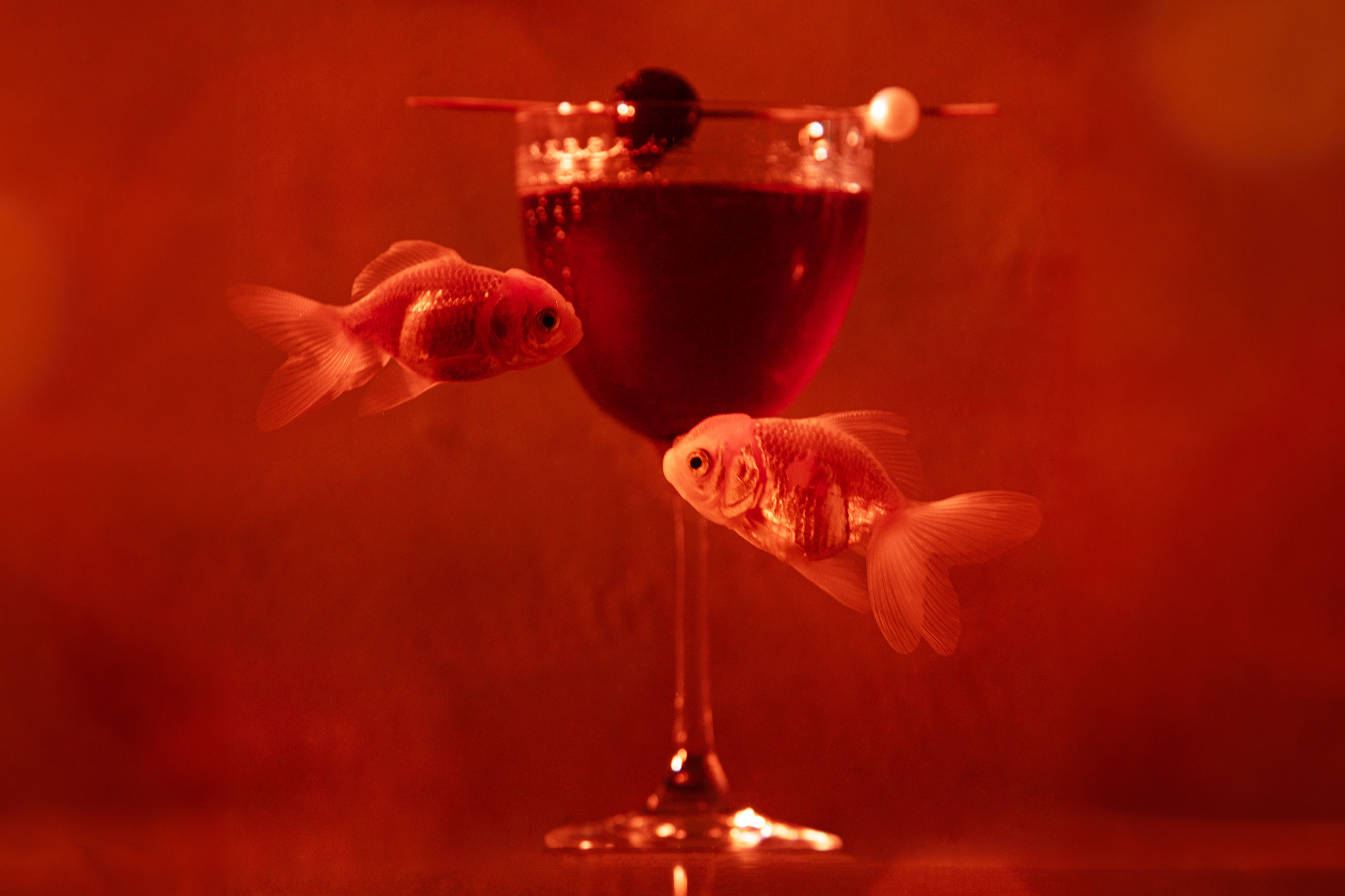 Glasfurd & Walker — Work