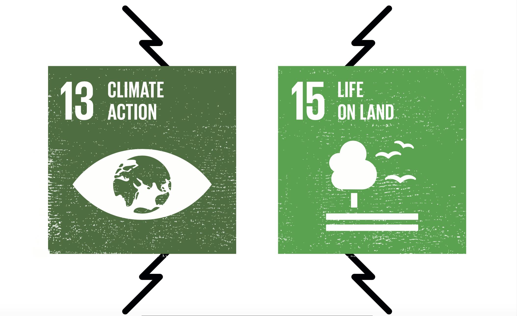 Earth Day | The Global Goals