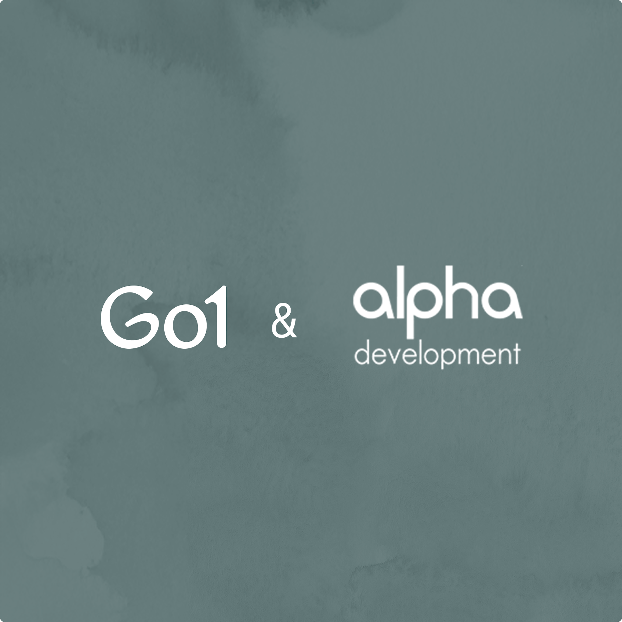 Alpha Development | Go1