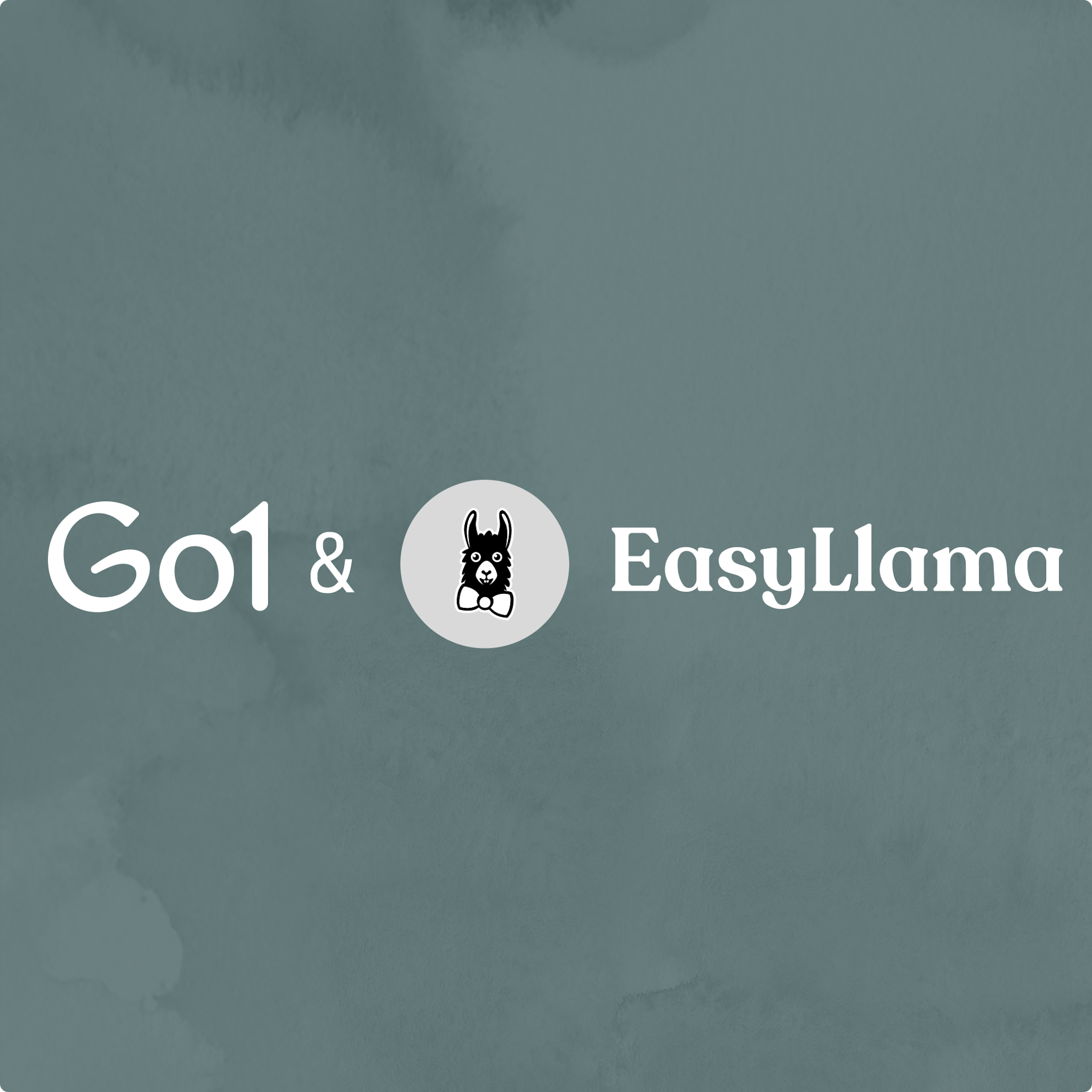 EasyLlama | Go1