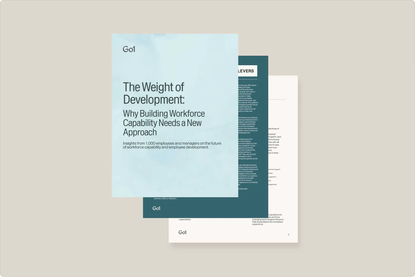 The Weight of Development: Why Building Workforce Capability Needs a ...