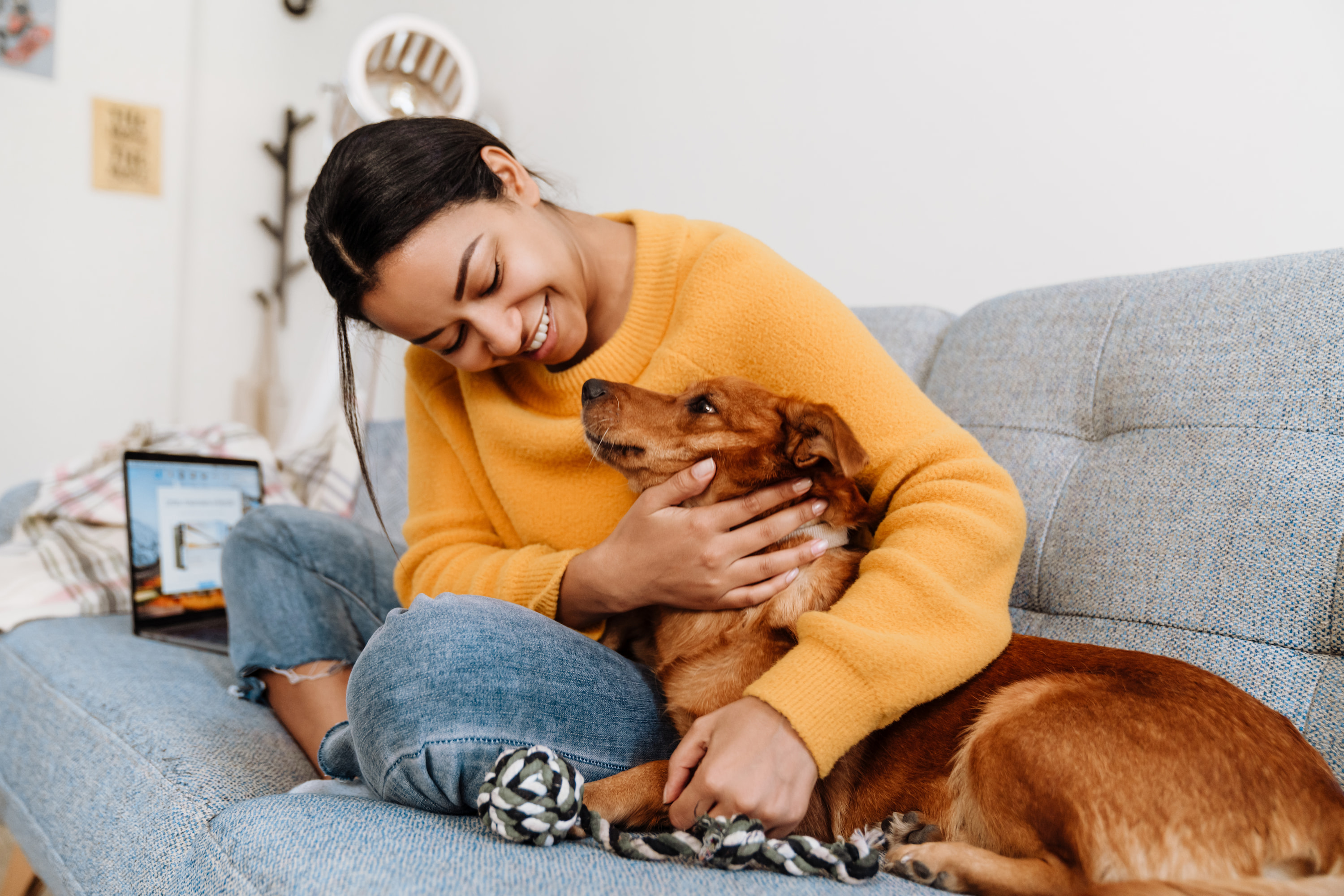 Five health benefits of pets | GoHealth Urgent Care