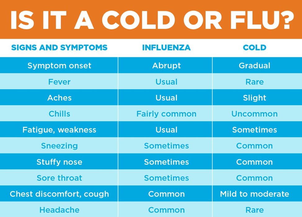 Flu Symptoms 2024 Vs Cold Season - Anica Brandie Flu Symptoms 2024 Vs Cold Season - Anica Brandie