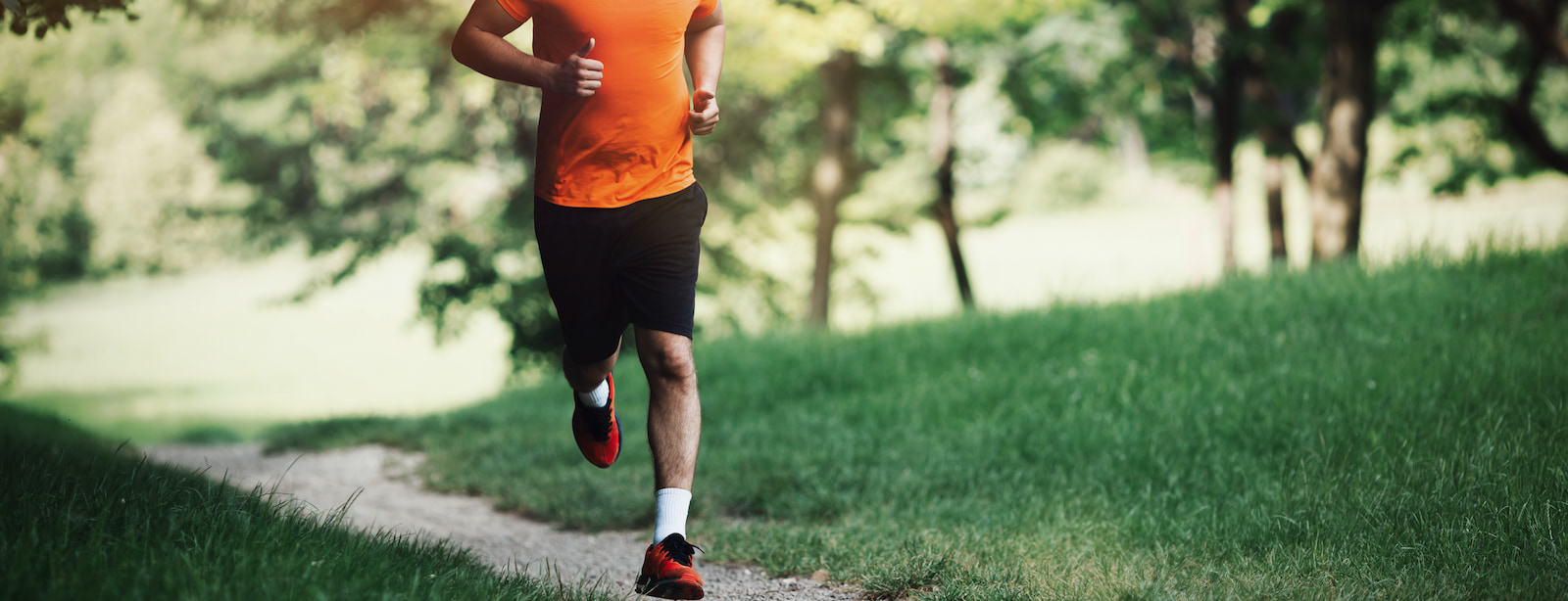 Four types of skeletal muscle injuries you should know about | GoHealth ...