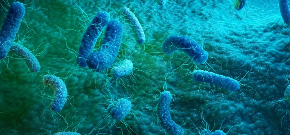 What’s the difference between viruses & bacteria? | GoHealth Urgent Care