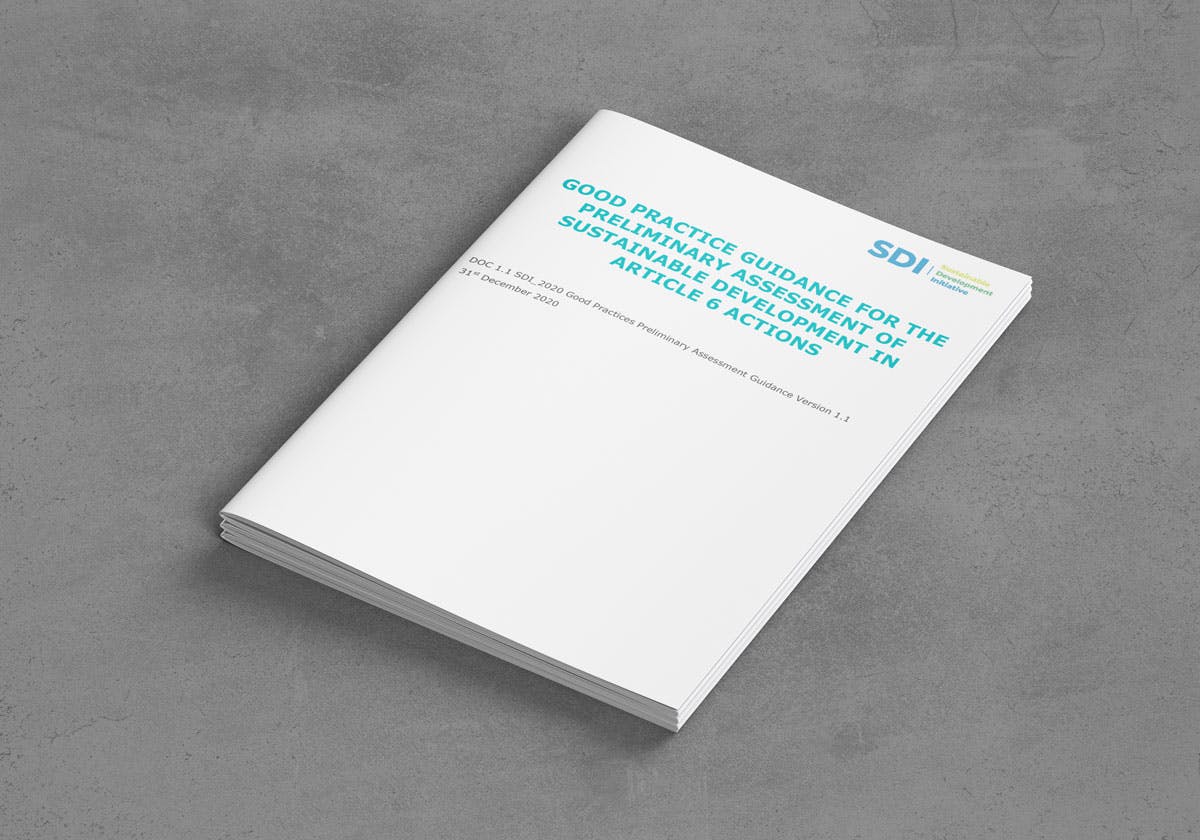 Good practice guidance for the preliminary assessment of sustainable ...