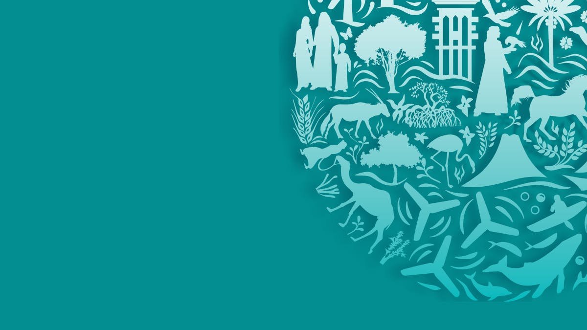 Post COP28 Reflections: Climate Finance & Future Goals | Gold Standard | GS