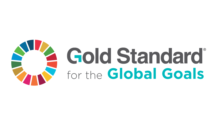 Announcing Gold Standard for the Global Goals | GS