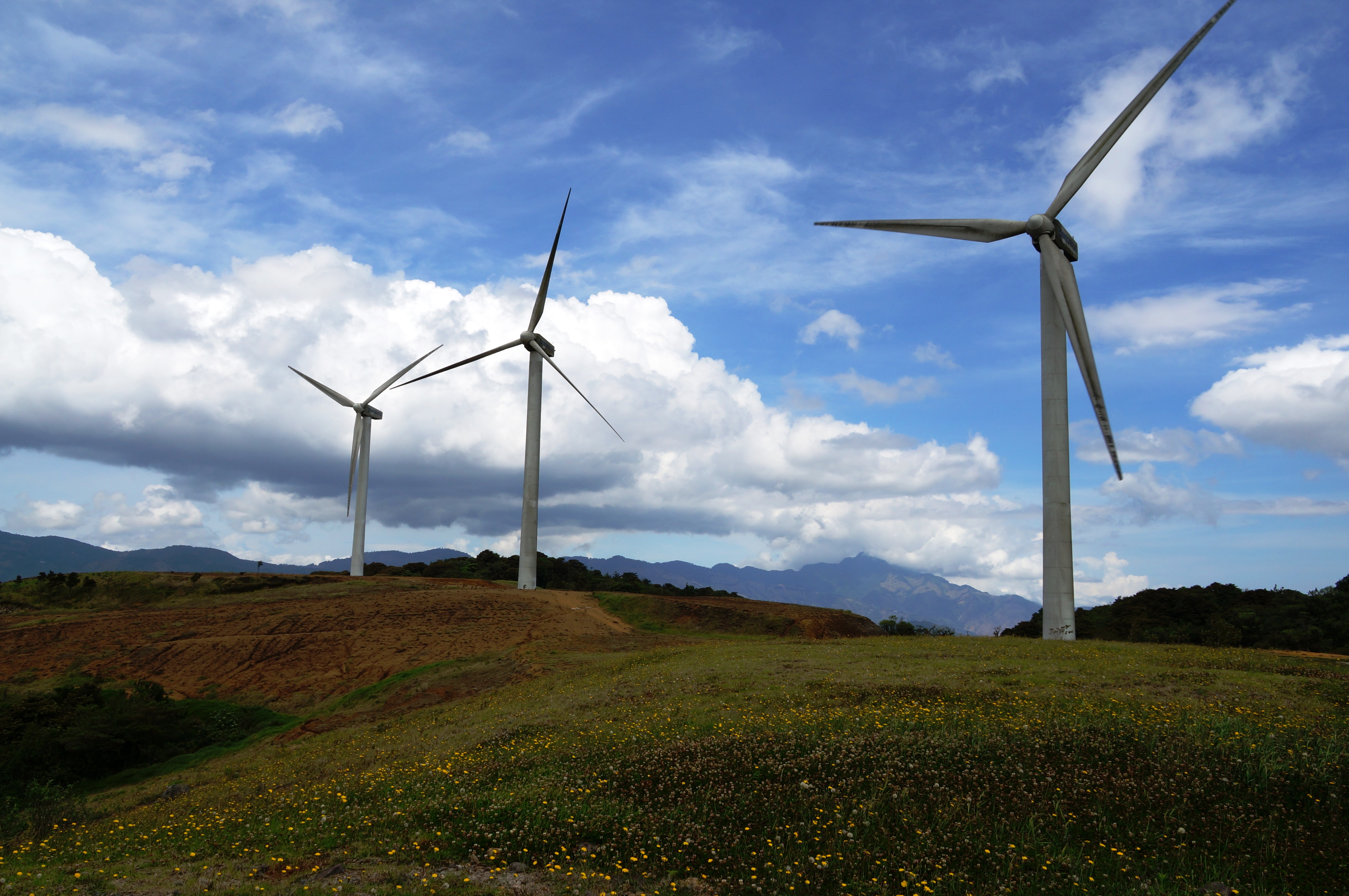 Renewable Energy Label Consultation