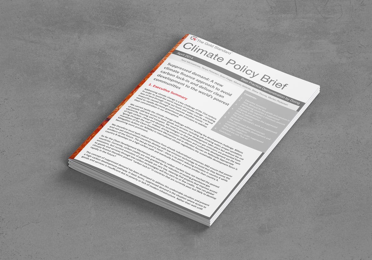 Suppressed Demand Climate Policy Brief | GS