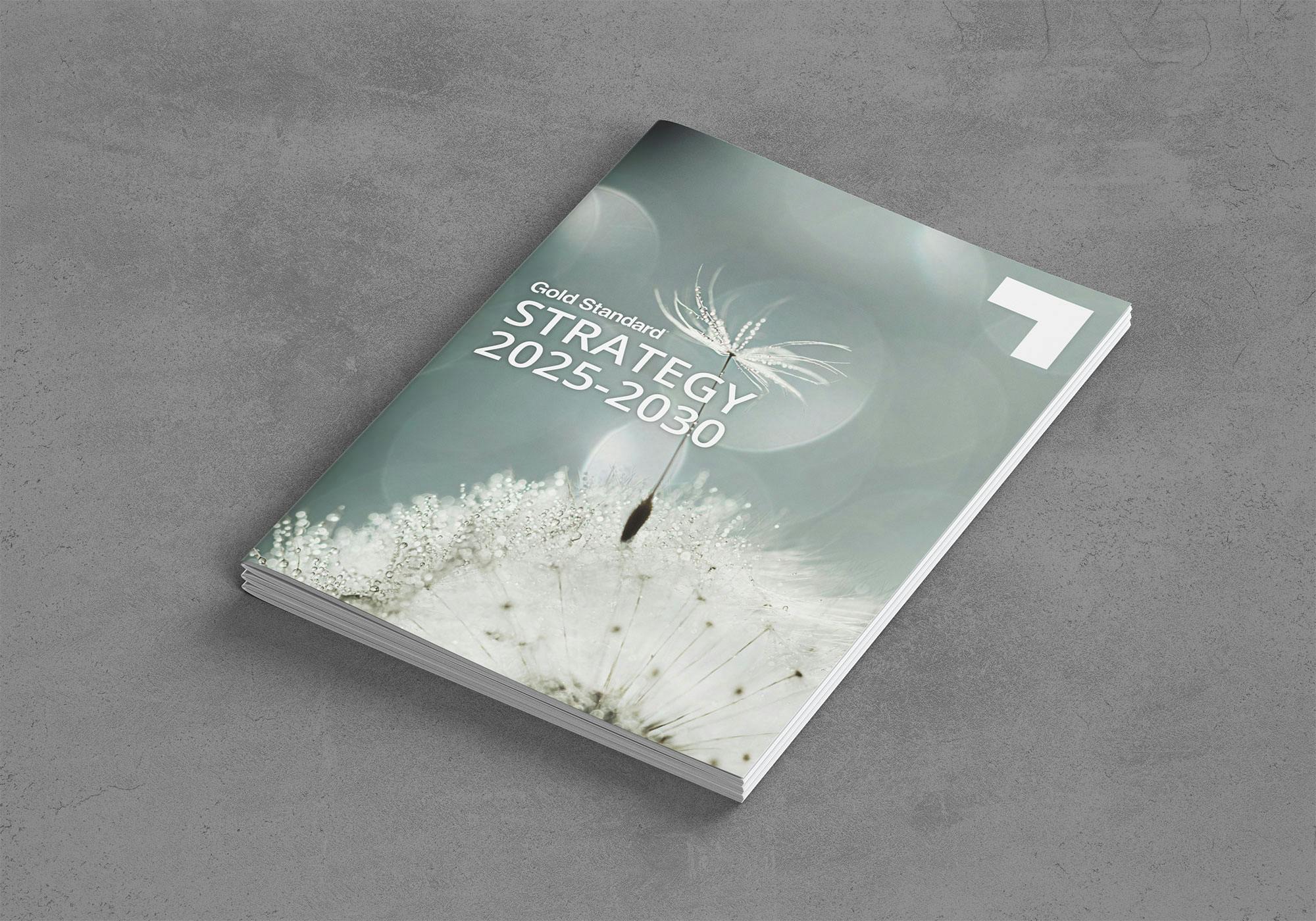 Gold Standard Strategy 2025-2030 | GS