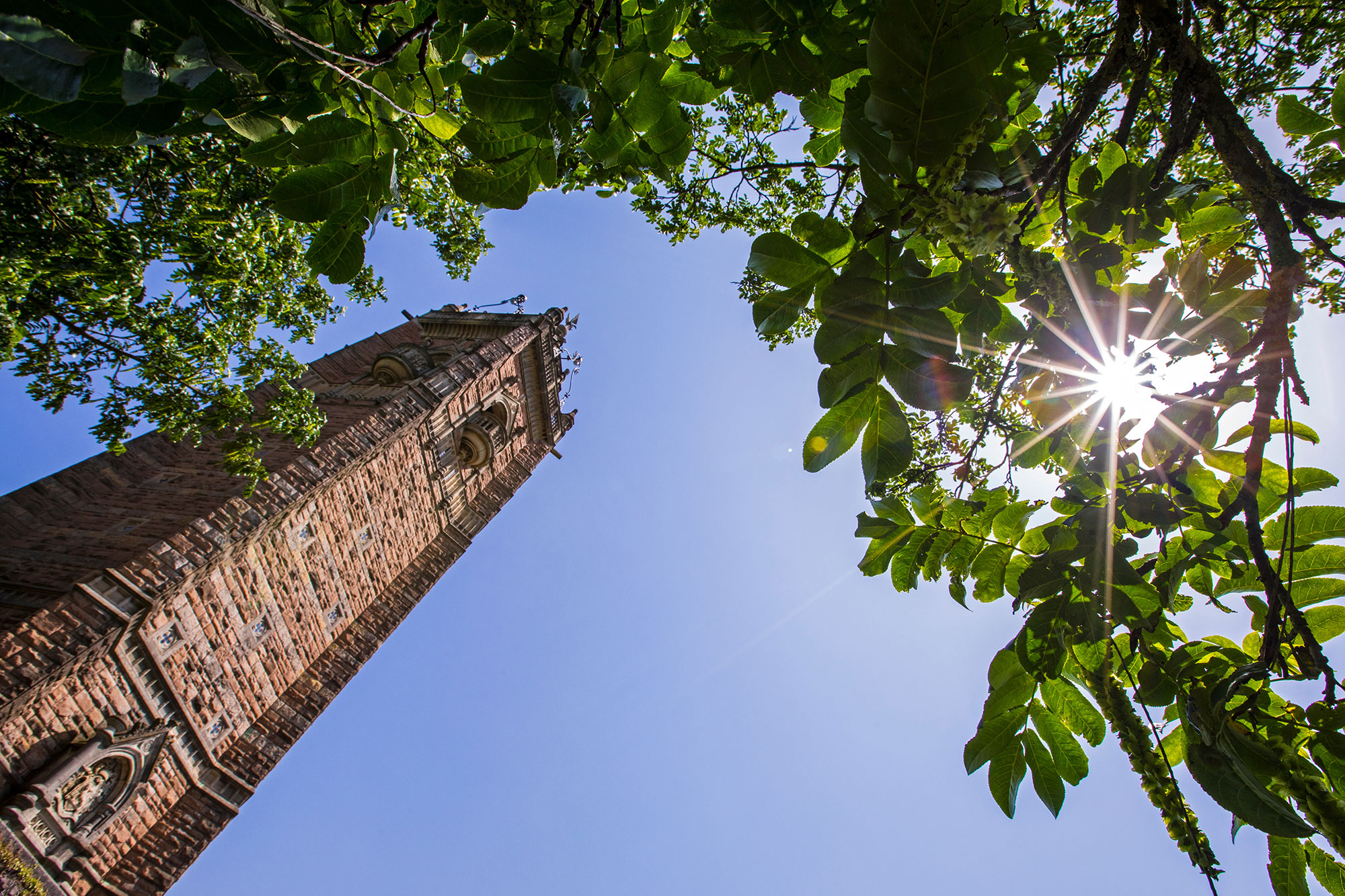 All Gold Standard events | GS