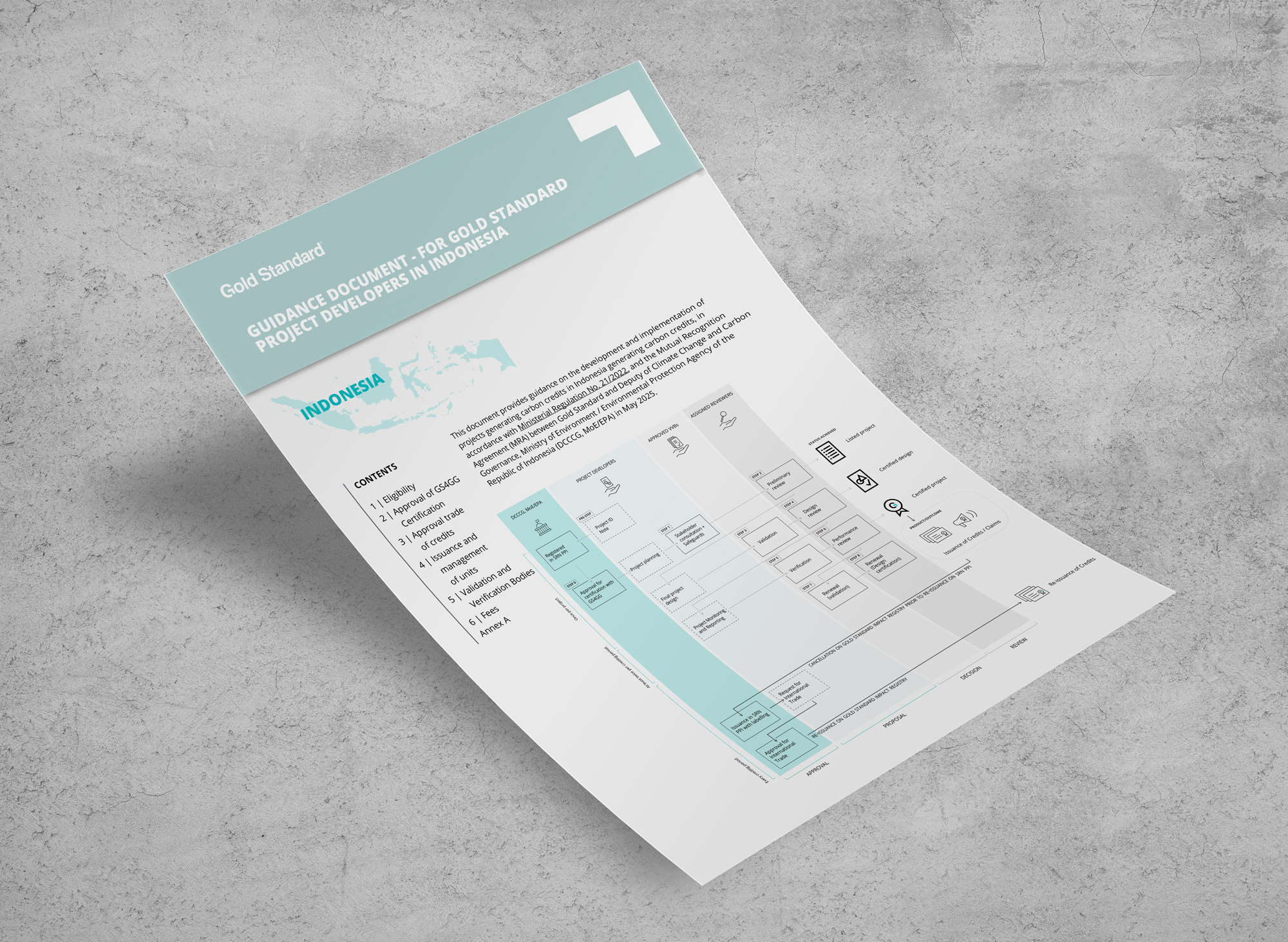 Guidance Document - for Project Developers with Gold Standard projects ...