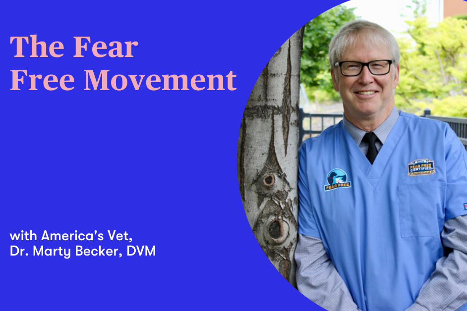 Watch: Fear Free Movement with America’s Vet, Dr. Marty Becker, DVM