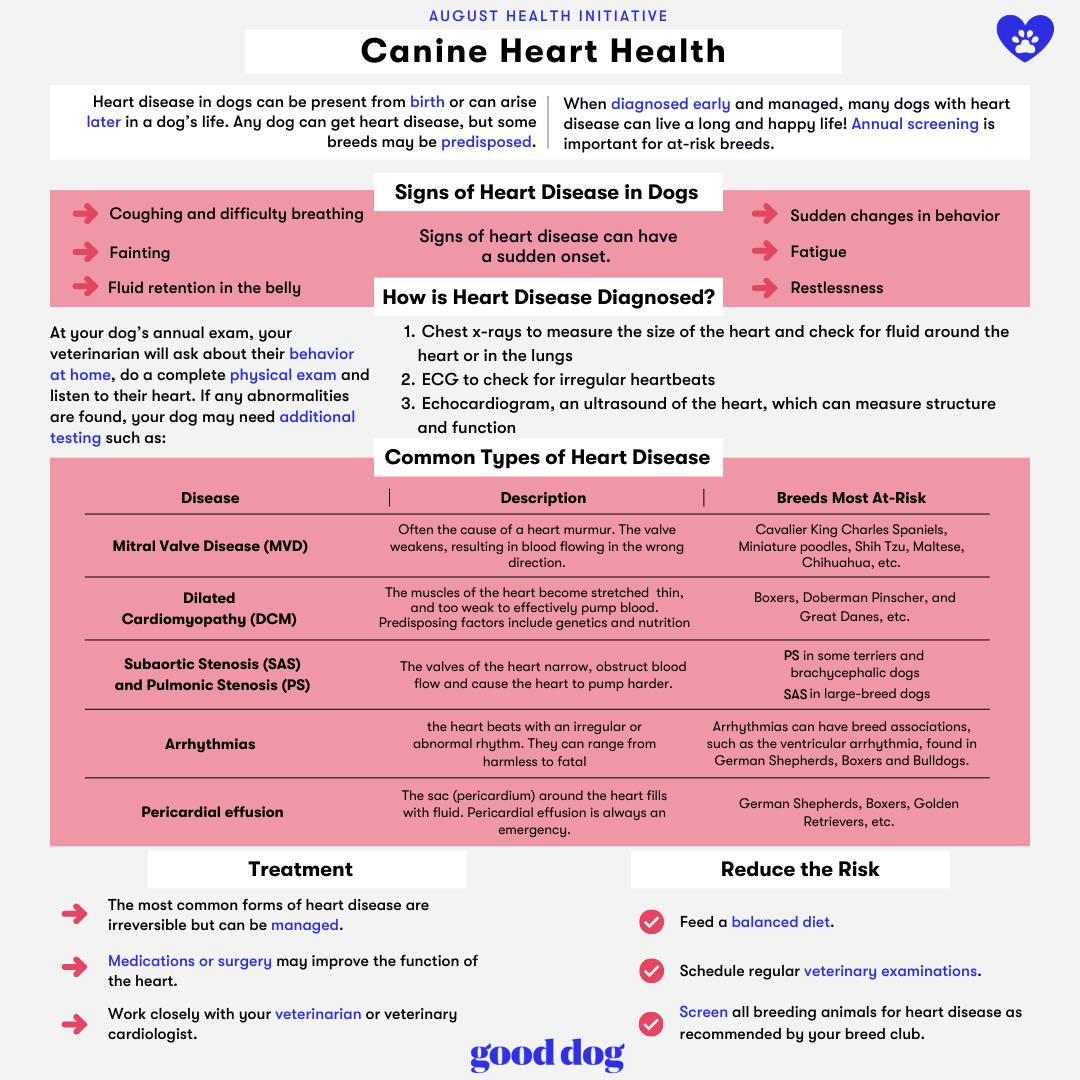 Canine Heart Health