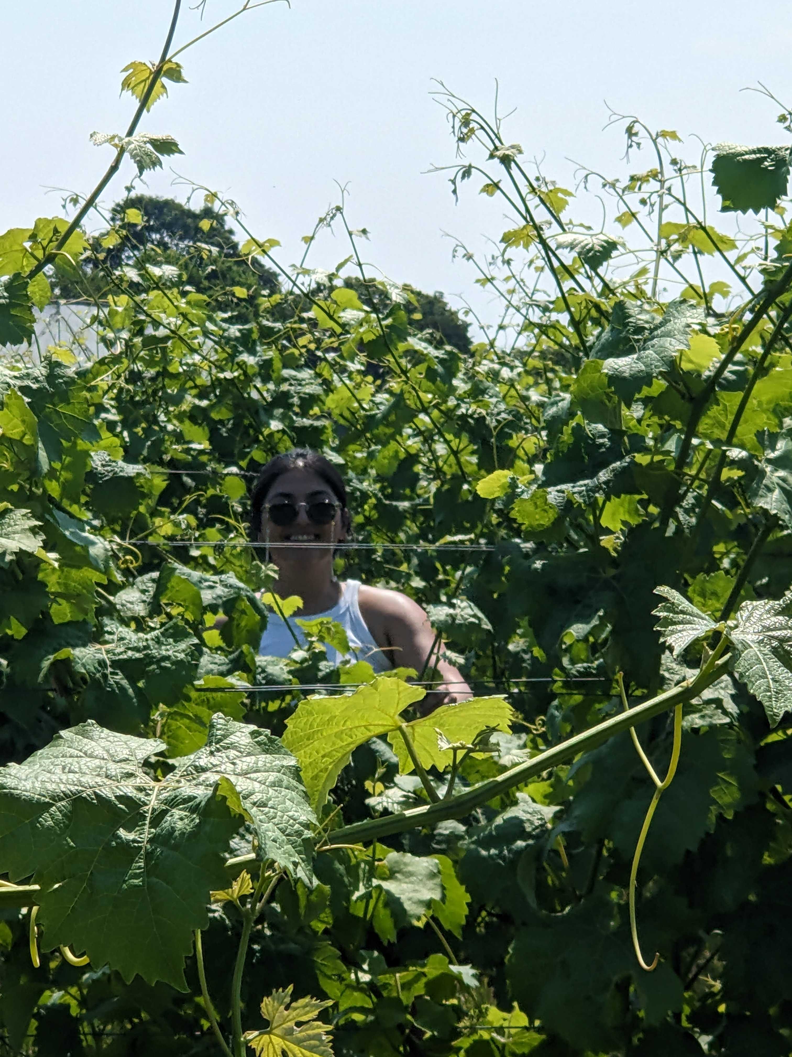 Behind the Screen: Inside Our Customer Success Team