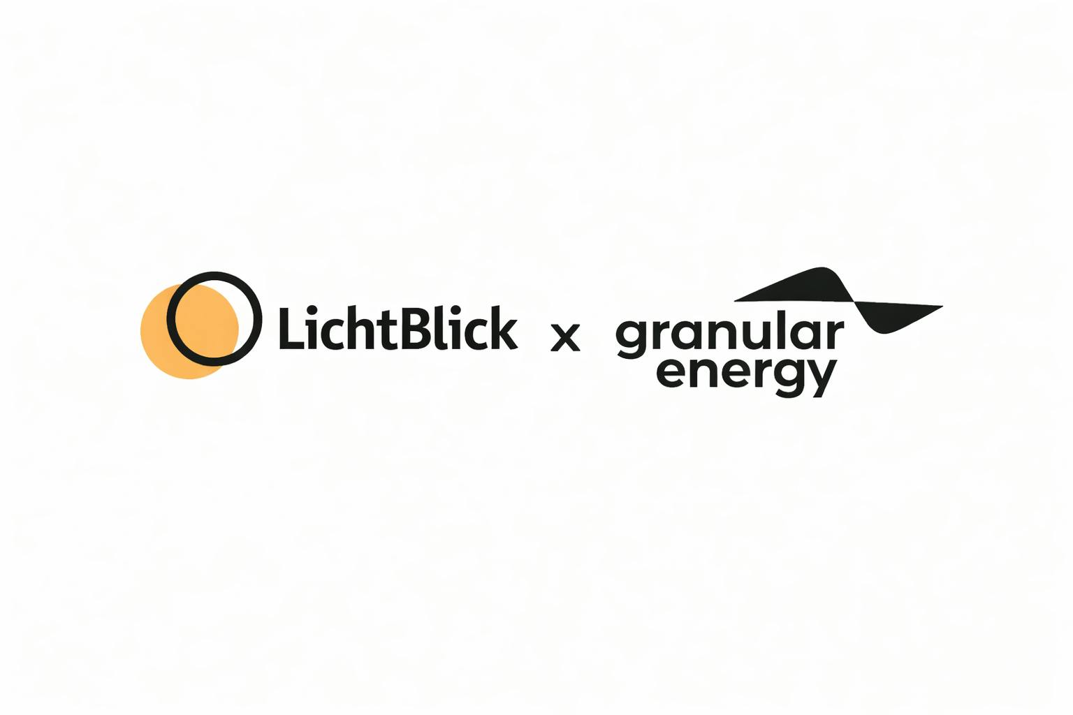 LichtBlick x Granular Energy