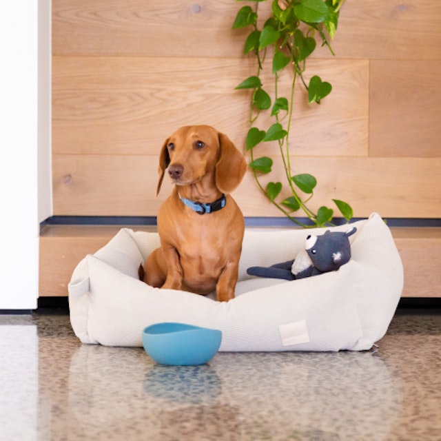 Serving Platters & Trays - House