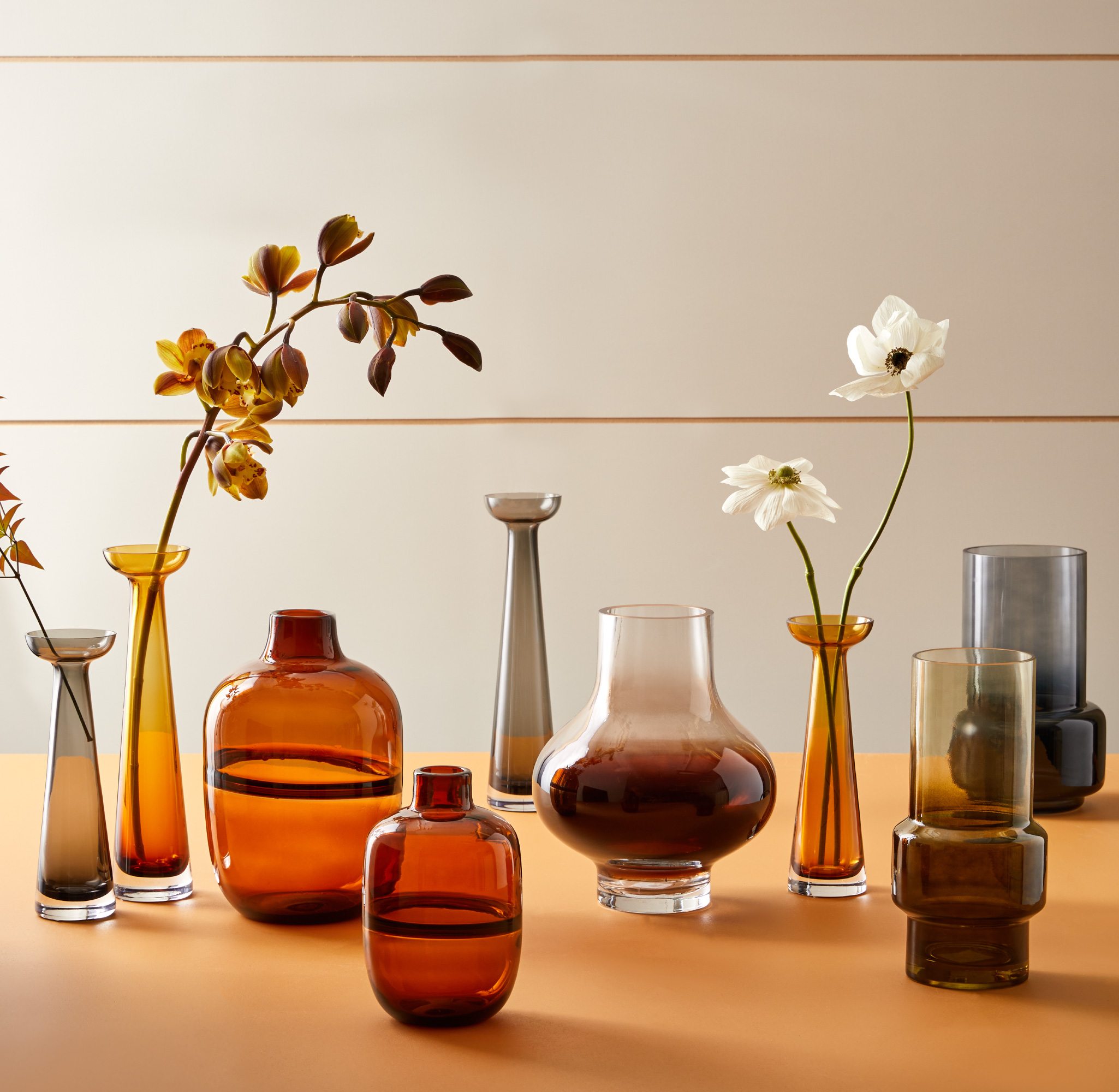 Neale Whitaker - MyHouse