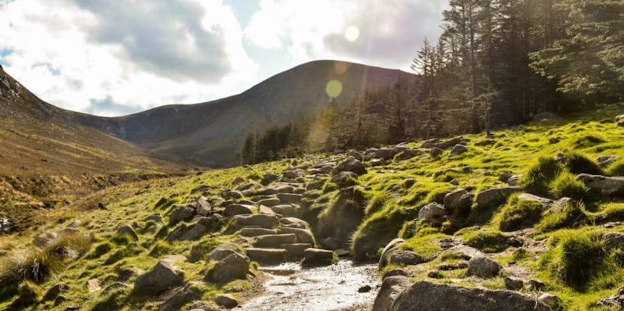 Green Belt Policy: Definition, Benefits and Examples