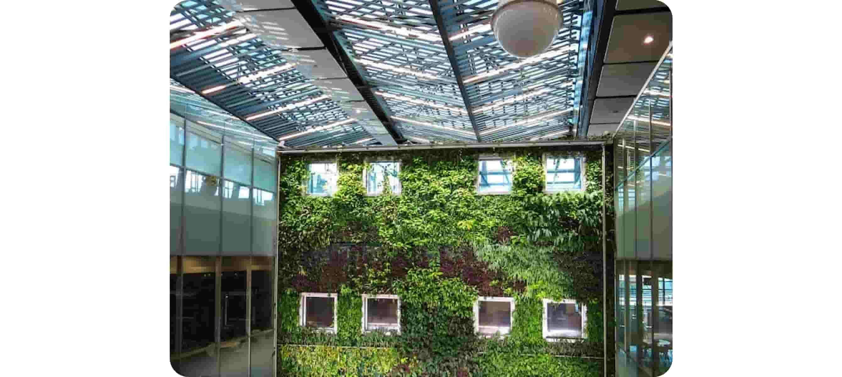 LEED certification: meaning and requirements