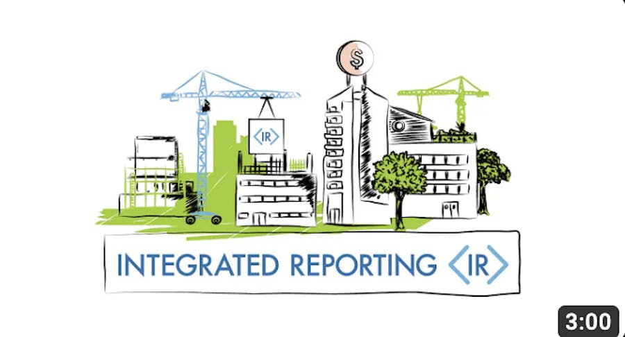 The International Integrated Reporting Council (IIRC)