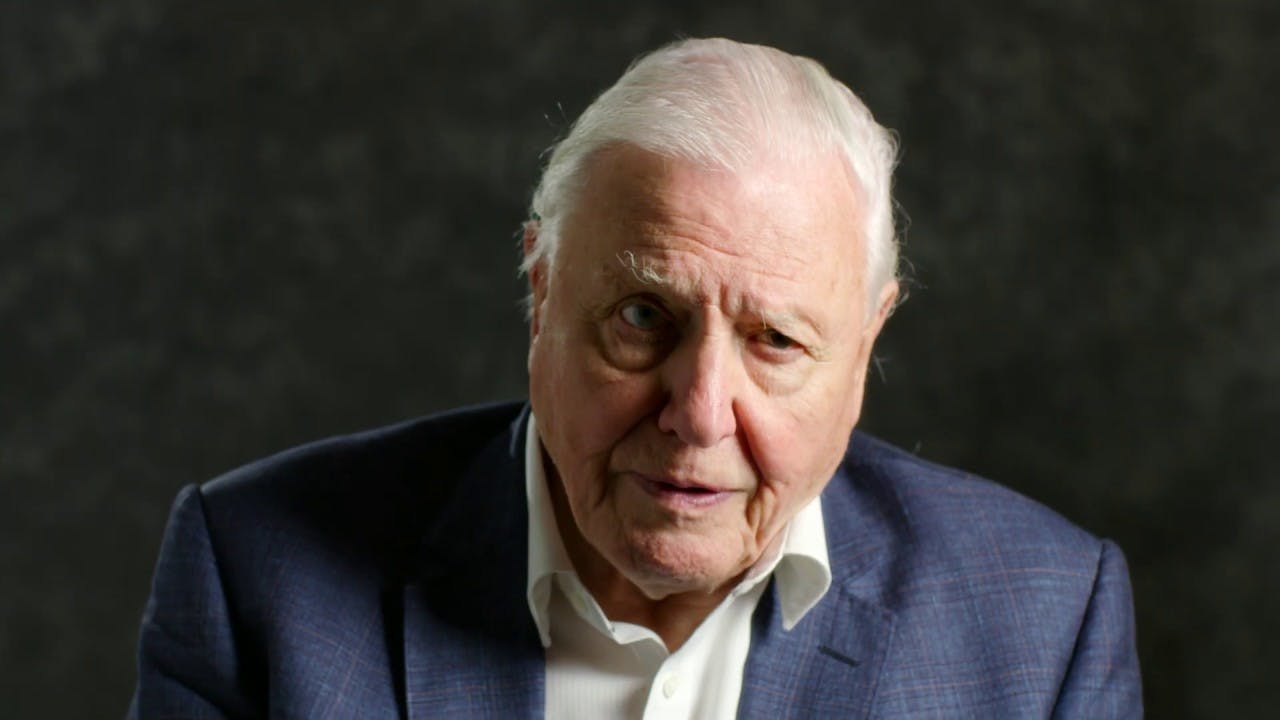 Who is David Attenborough?