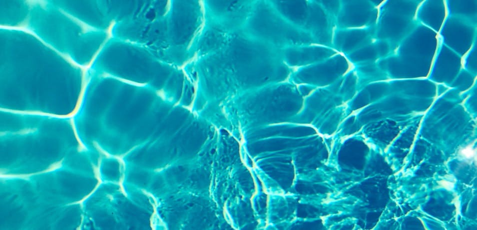 What is The Albedo Effect And How Does it Impact Global Warming?