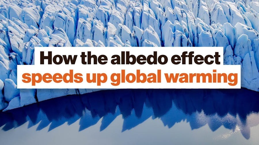 What is The Albedo Effect And How Does it Impact Global Warming?