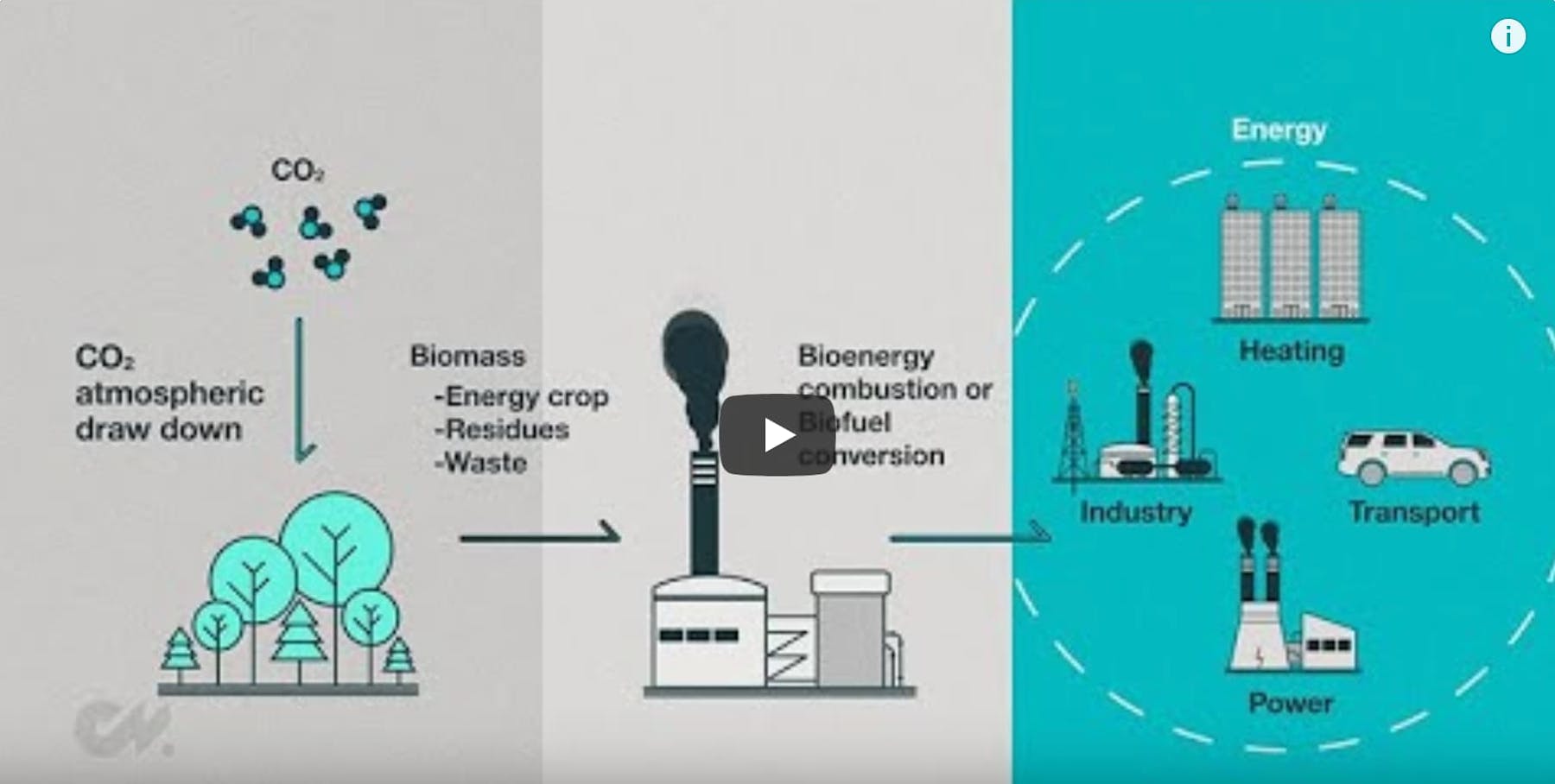 6 Examples Of Carbon Dioxide Removal