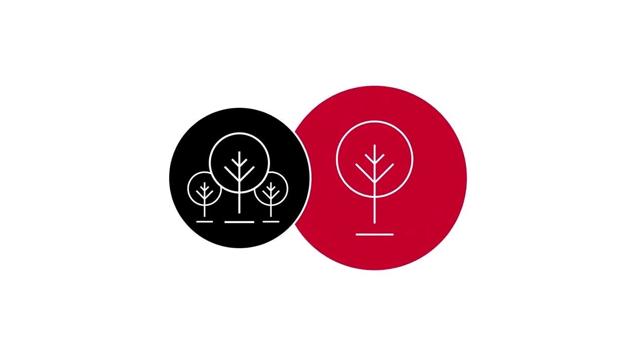 Voluntary Carbon Market (VCM): principles and examples