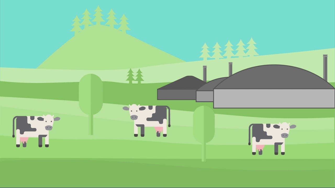 Voluntary Carbon Market (VCM): principles and examples