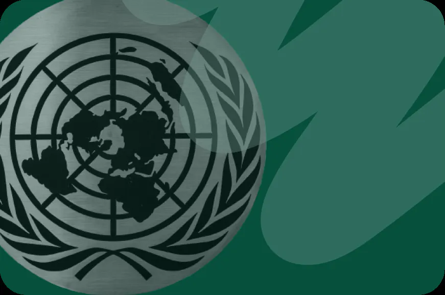 International Cooperation: Key to Combating the Climate Crisis