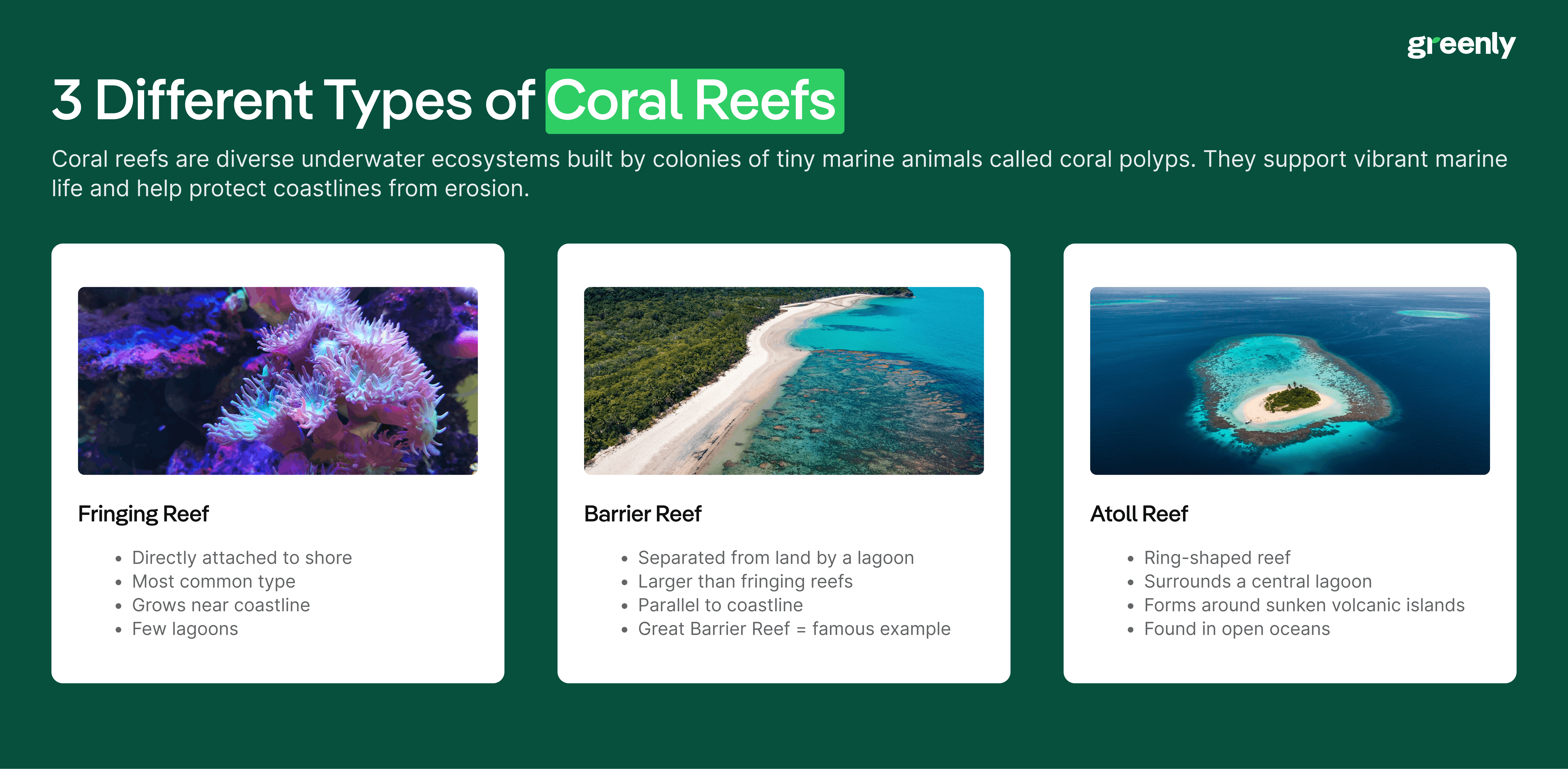 fringing reef