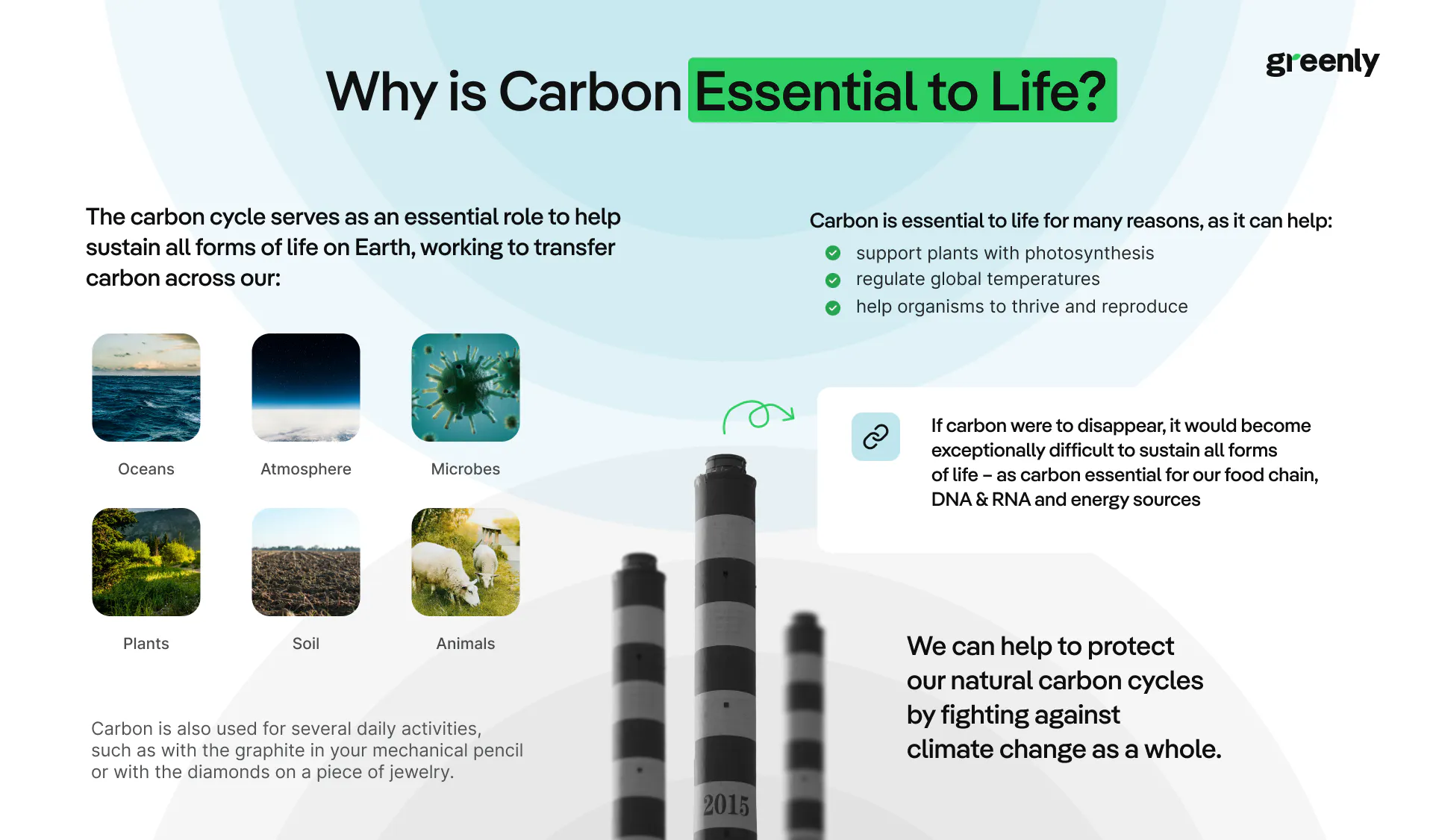Carbon cycle - definition - Greenly
