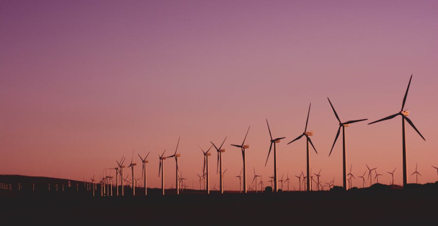 What are PAIs (Principal Adverse Impacts)?