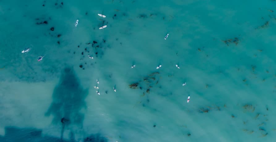 Ocean Acidification: Causes, Issues and Solutions