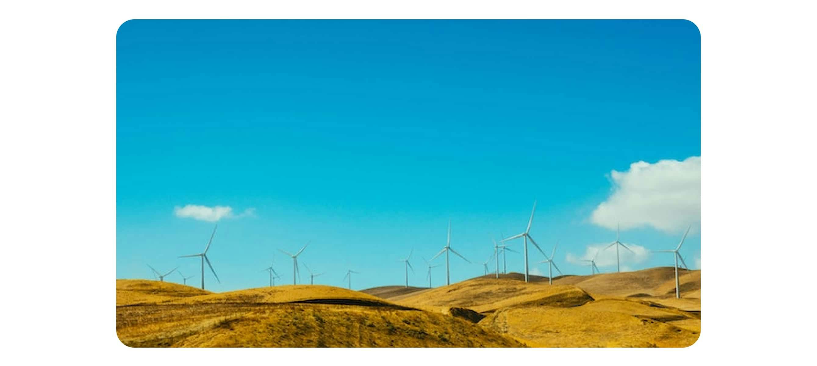 What is the PAS 2060 standard for carbon neutrality?